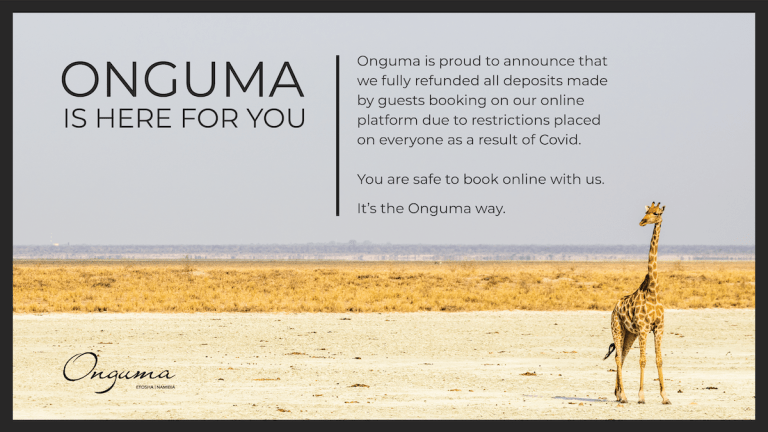 Home - Welcome to Onguma Safari Camps